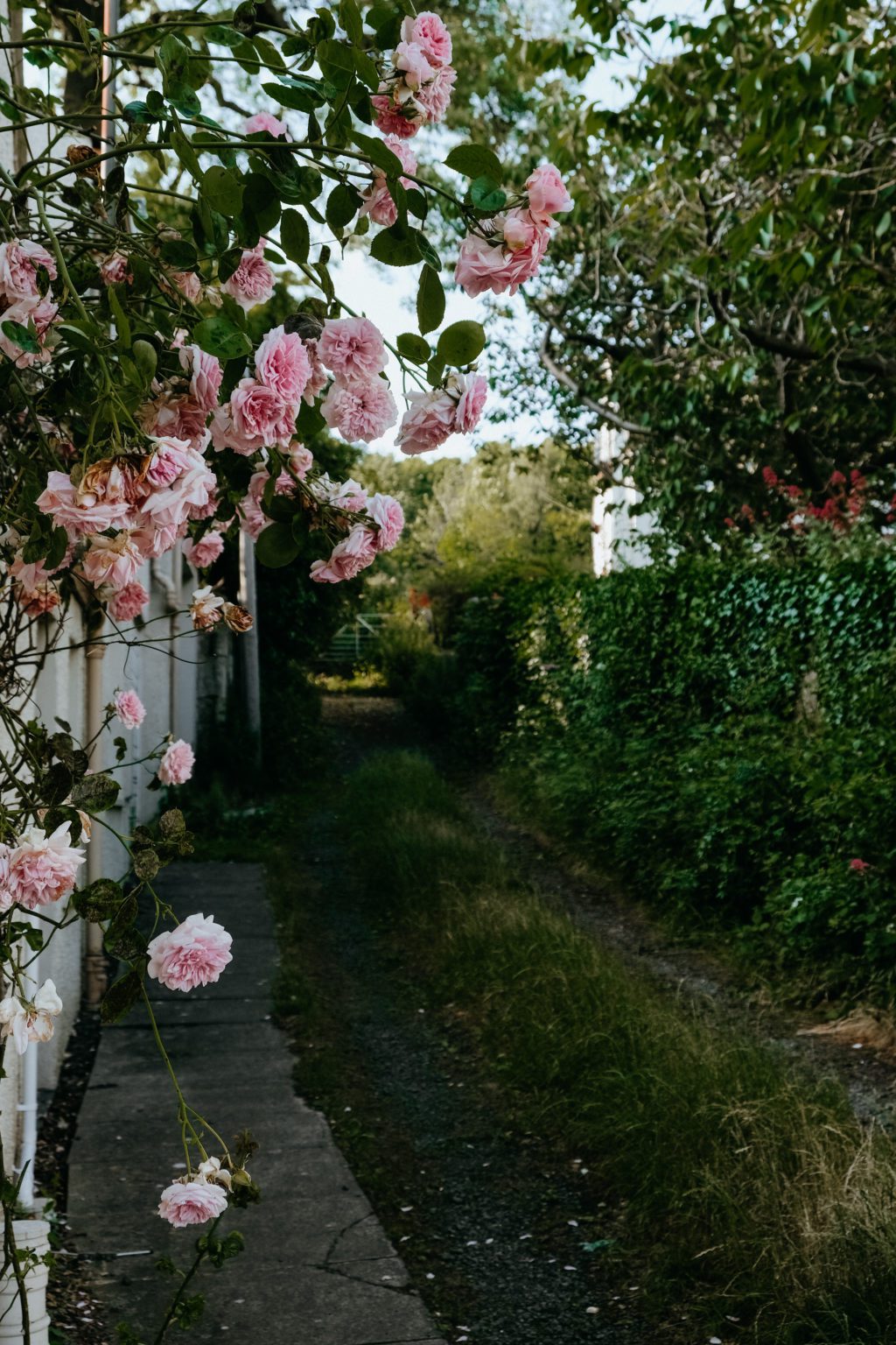 A Walking Tour of Duddingston Village, an Edinburgh Hidden Gem - HOPS ...